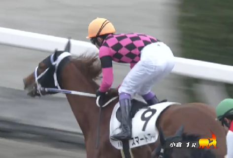 【武豊】小倉1RのスマートアイでJRA通算4400勝達成 武豊『史上最年少の4400勝やね』 | 武豊まとめ速報